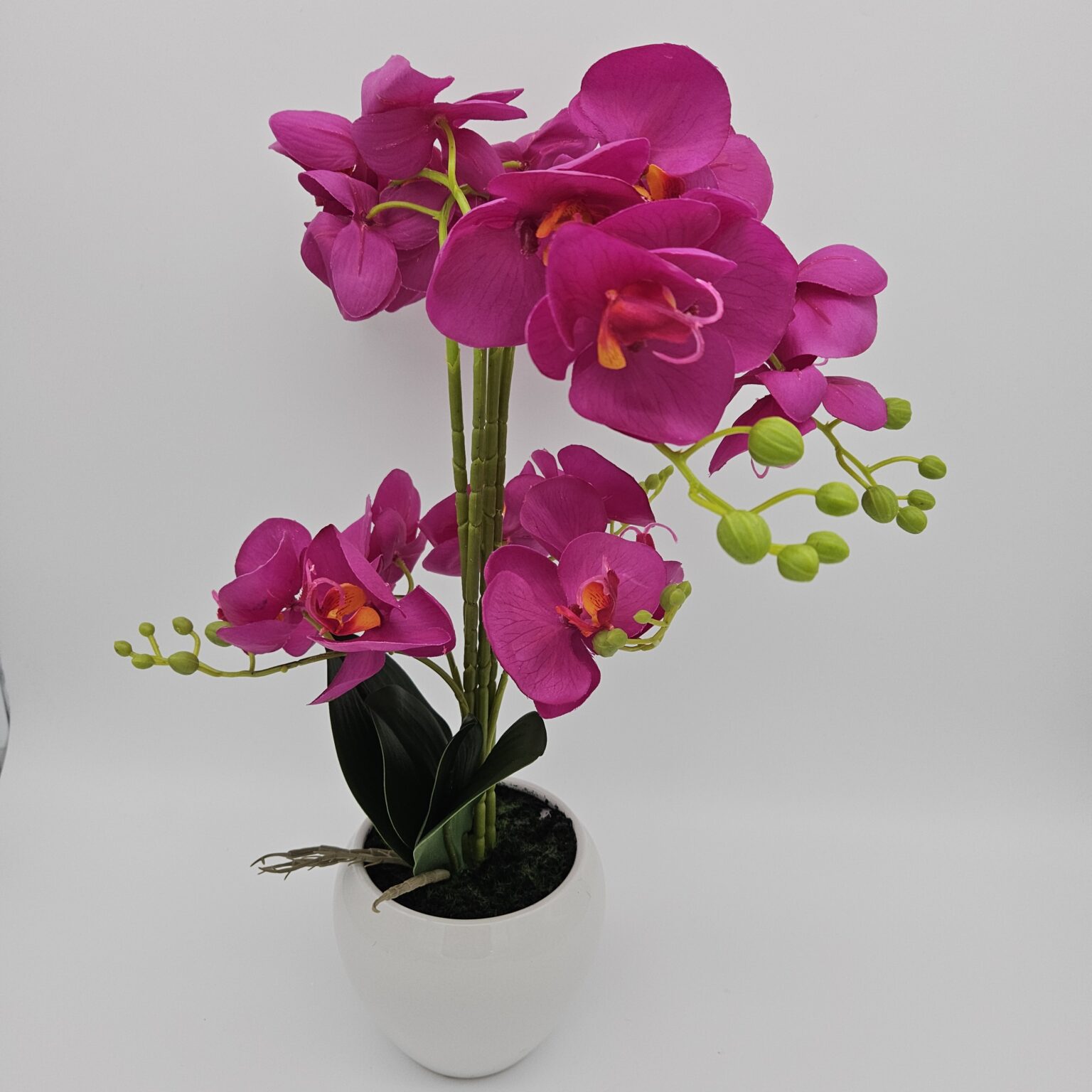 Orchideen-Arrangement in verschiedenen Farben - Kalle Kommt